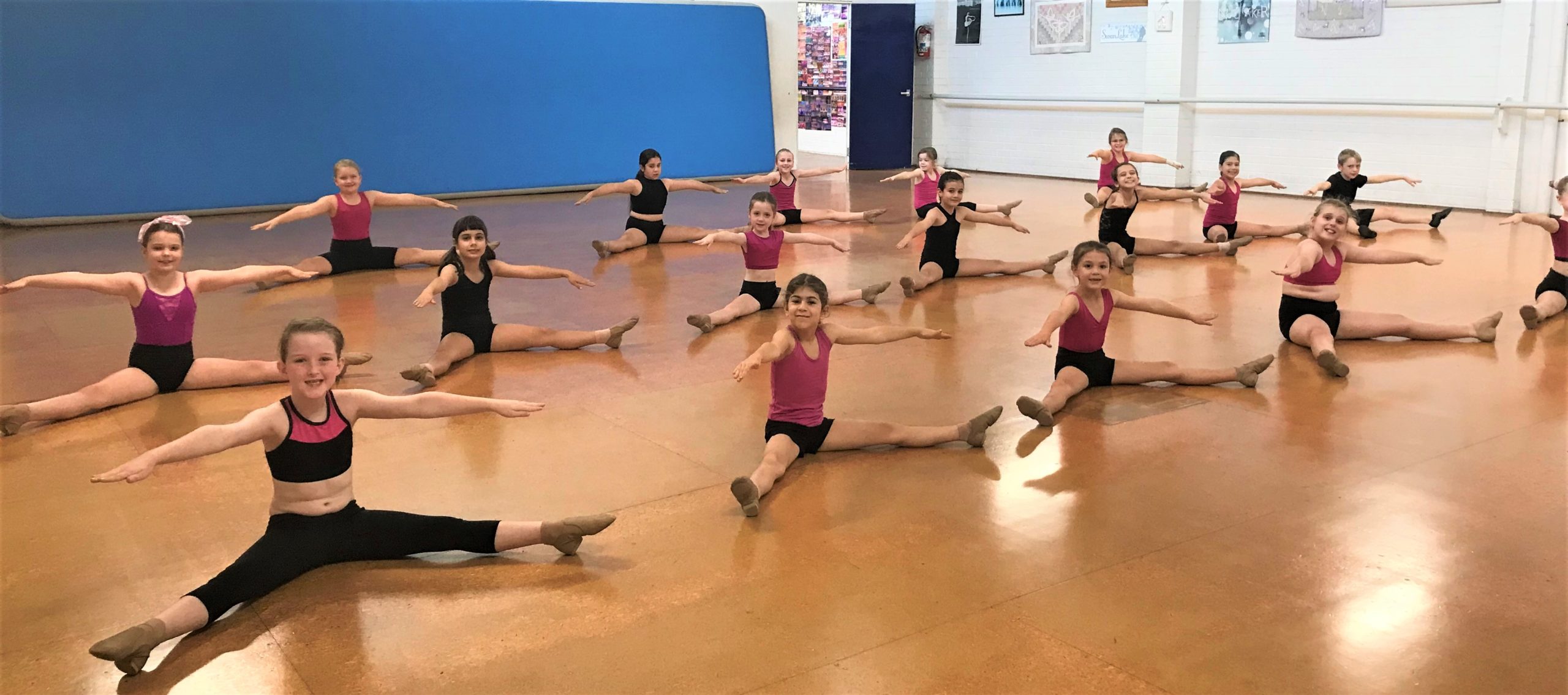 Enrolments – Sharon Biddle School of Dance